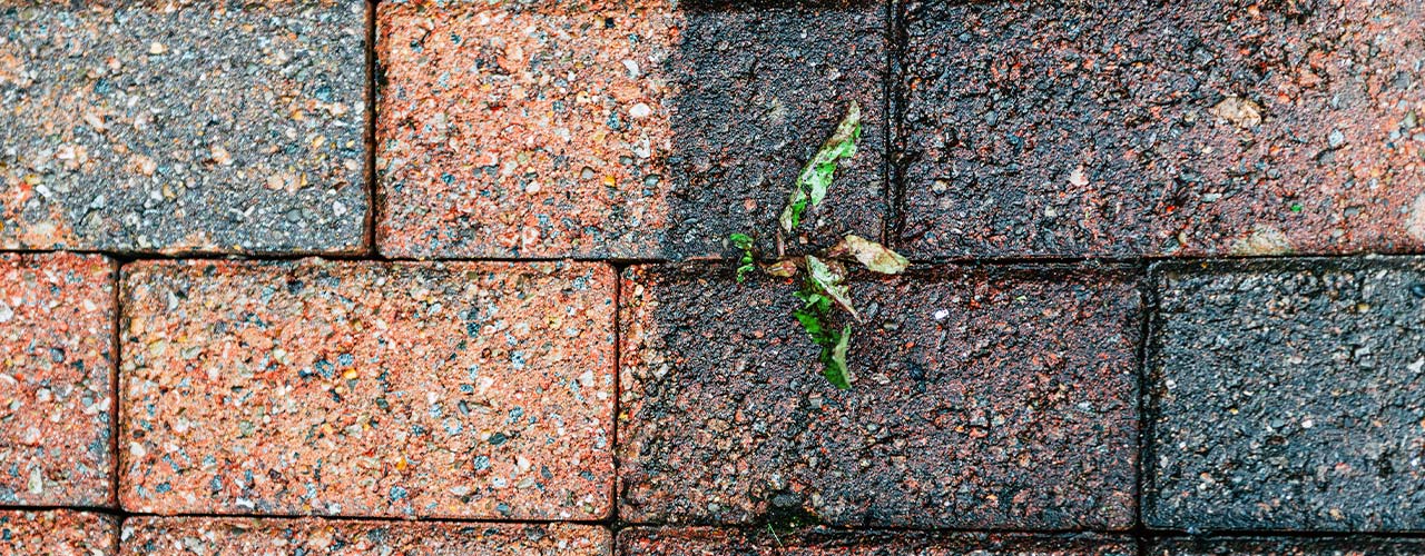 Professionel fliserens huset rundt - bestil gratis prøverens